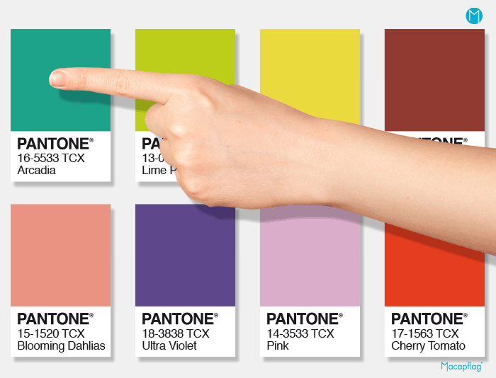 Pantone, LA référence couleur tel un langage universel