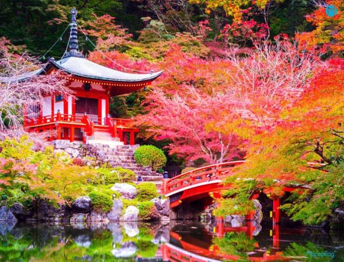 Qu'est-ce qu'une image vectorielle ? Image vectorisée et image matricielle