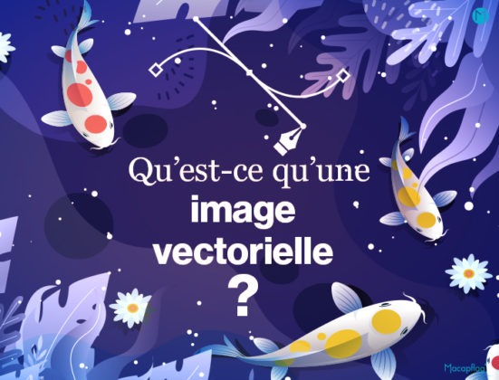 Qu'est-ce qu'une image vectorielle ? Image vectorisée et image matricielle