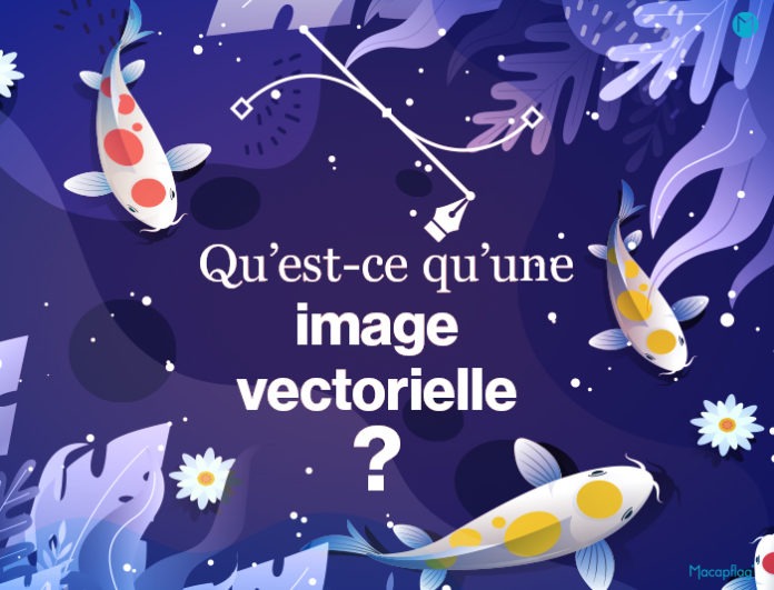 Qu'est-ce qu'une image vectorielle ? Image vectorisée et image matricielle